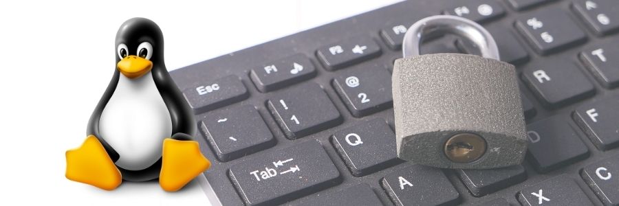 Yocto Kernel Development & Security Hardening | Witekio